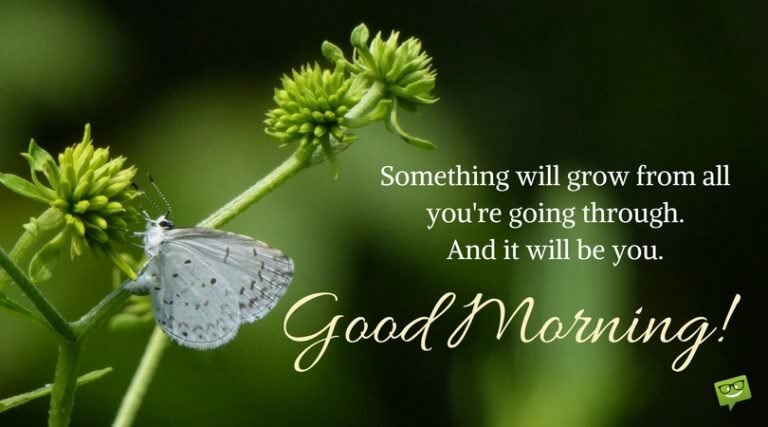 84 Motivational Good Morning Quotes for Your Work Day