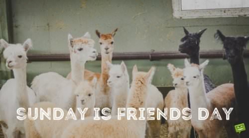 50 Happy and Inspirational Sunday Quotes A Day Well Spent
