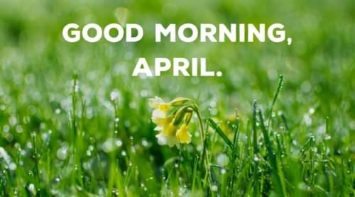 Hello, April! | In April Fools' Day Pranks We Trust