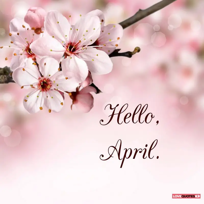 Hello April In April Fools Day Pranks We Trust