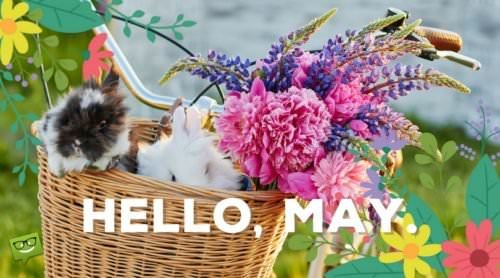 50 Hello May Quotes and Images to Greet Spring in Bloom