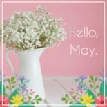 50 Hello May Quotes and Images to Greet Spring in Bloom