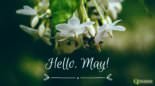 50 Hello May Quotes and Images to Greet Spring in Bloom