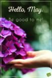 50 Hello May Quotes and Images to Greet Spring in Bloom