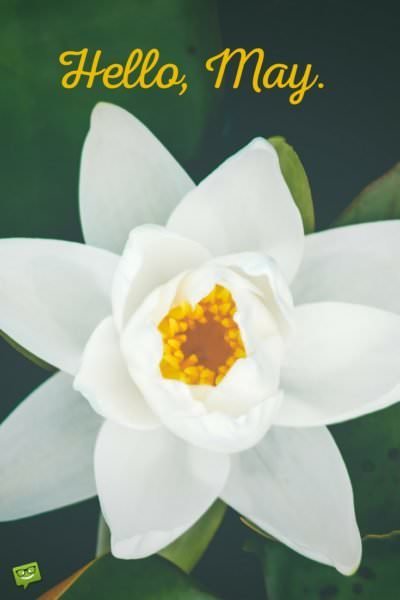 50 Hello May Quotes and Images to Greet Spring in Bloom