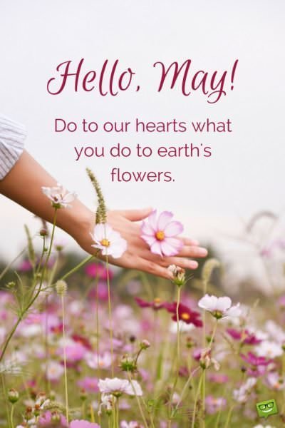 50 Hello May Quotes and Images to Greet Spring in Bloom