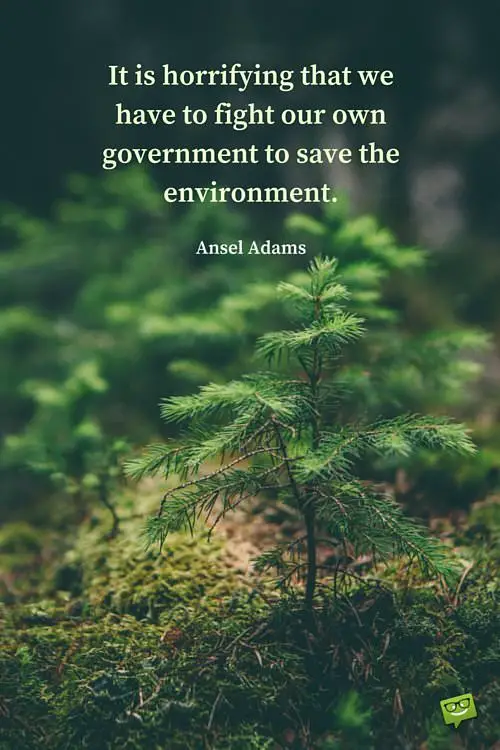Inspiring Environmental Quotes
