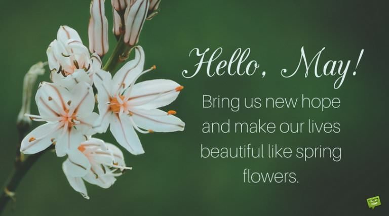 50 Hello May Quotes and Images to Greet Spring in Bloom