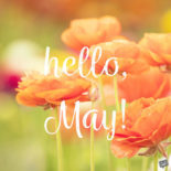 50 Hello May Quotes and Images to Greet Spring in Bloom