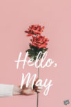 50 Hello May Quotes and Images to Greet Spring in Bloom