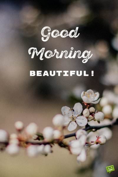 24 of the Most Popular Good Morning Quotes For Your Love