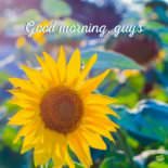 Good Morning, Friends! | A Great Post for the New Day