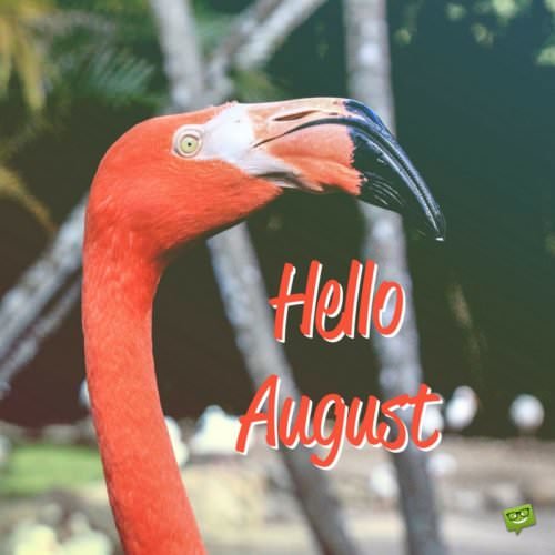 Hello, August! | Quotes for a Summer Month to Enjoy