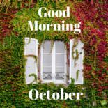 Work Hard, Play Hard: 50 Inspiring Quotes to Start your Weekend Right