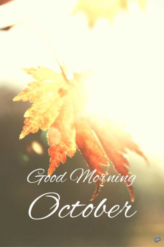 Good Morning, October! | Exploring Autumn in Various Shades