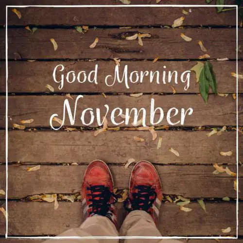 Good Morning November! Happy First Day of the Month