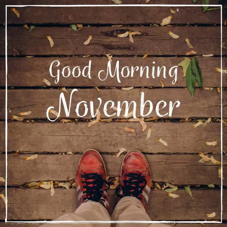 Good Morning November! Happy First Day of the Month
