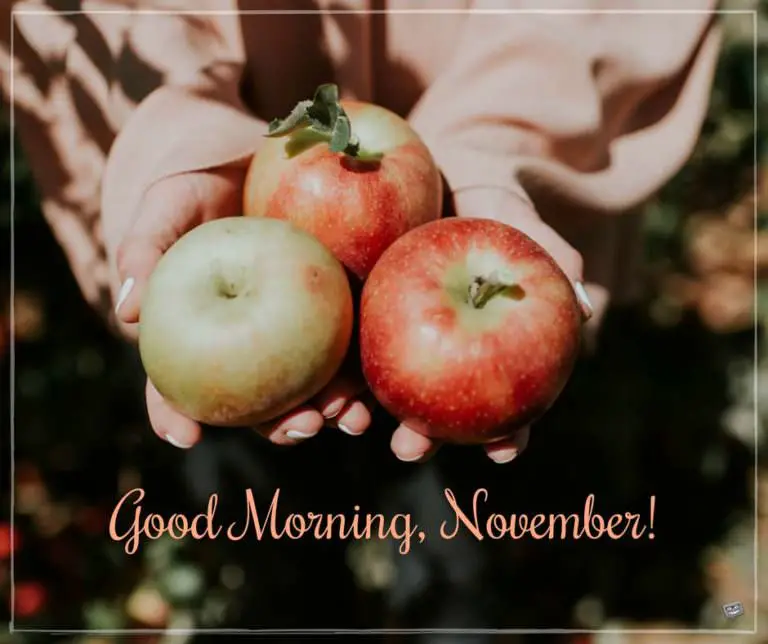 Good Morning November! Happy First Day of the Month