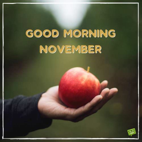 Good Morning November! Happy First Day of the Month
