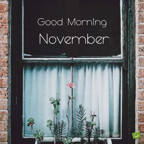 Good Morning November! Happy First Day of the Month