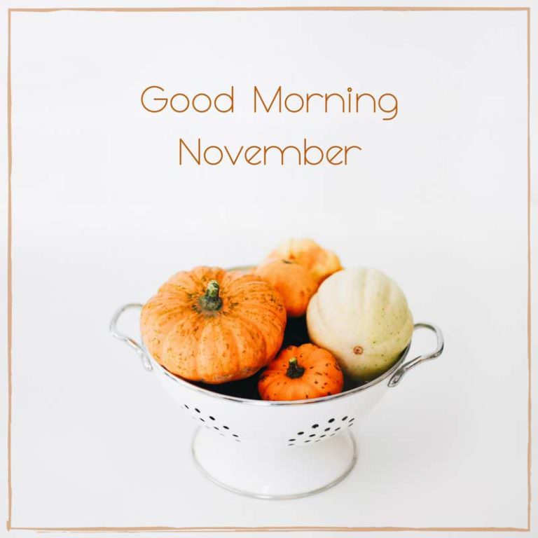 Good Morning November! Happy First Day of the Month