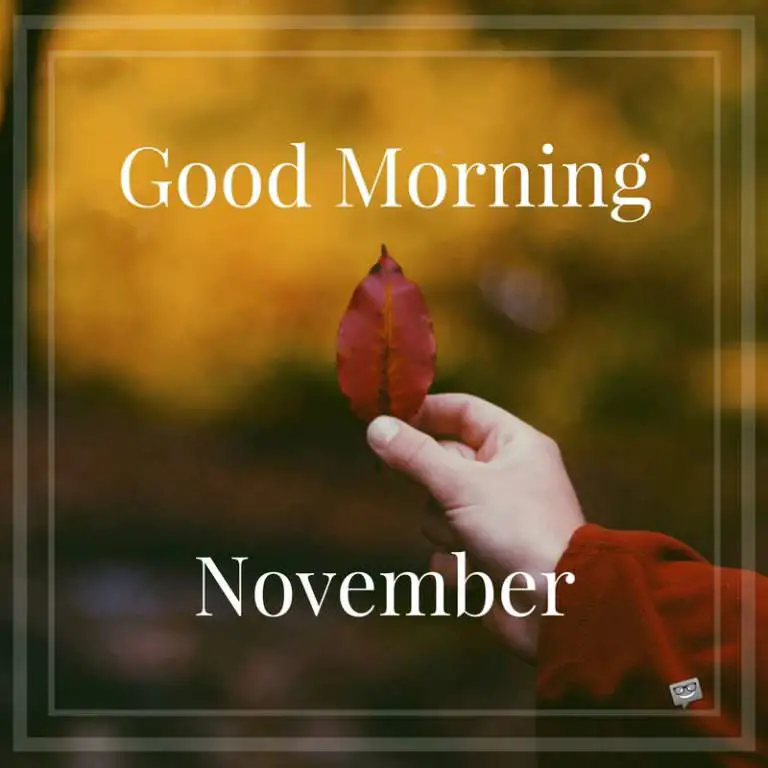 Good Morning November! Happy First Day of the Month