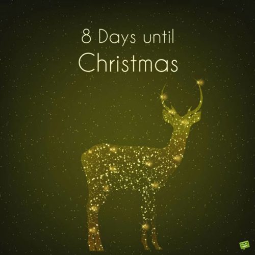 A Christmas Countdown : How Long Until December 25th?