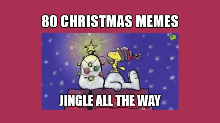 80+ Funny Merry Christmas Memes that Jingle All the Way
