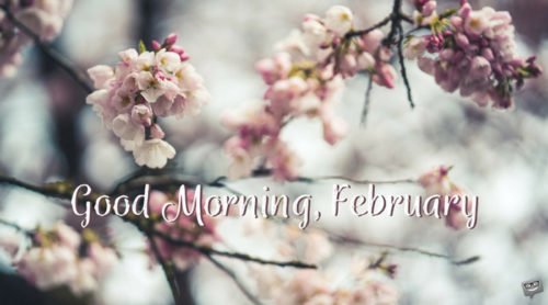 Good Morning, February (Love is in the Air)