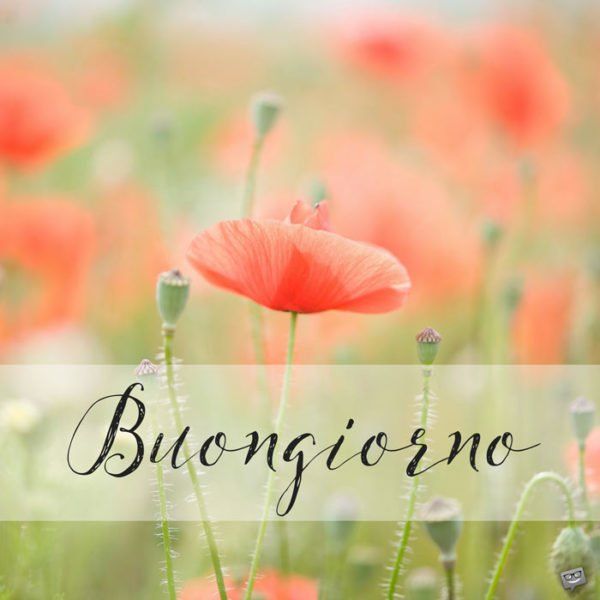 Good Morning in Italian | Buongiorno!