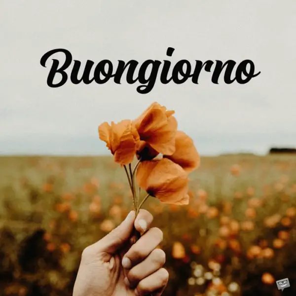 Good Morning in Italian | Buongiorno!