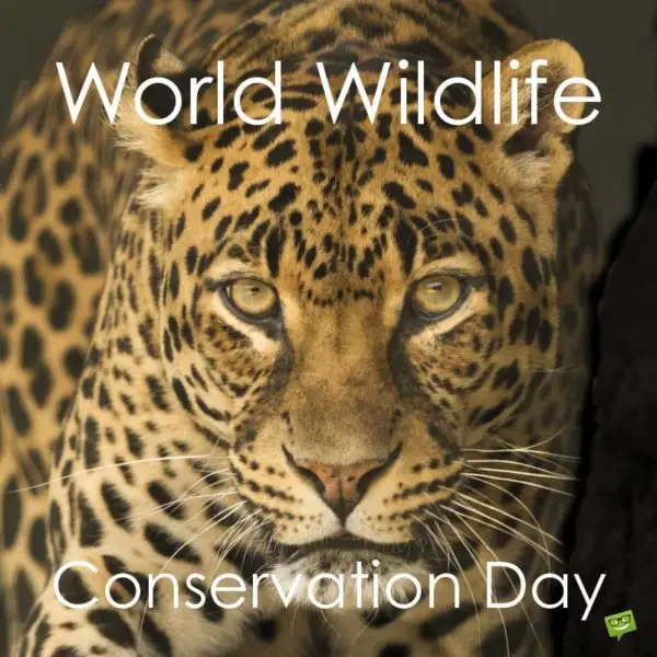 World Wildlife Conservation Day | Fun Facts & How it Started