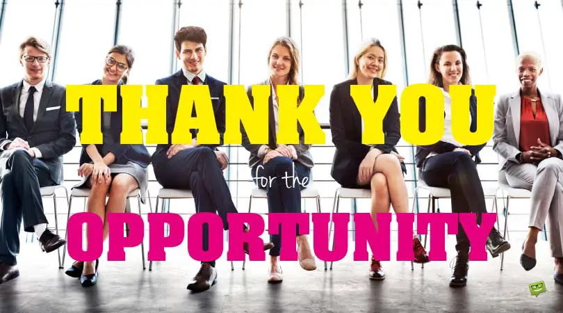 Thank You Email After Interview