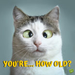 100 Hilarious Birthday One-Liners: Make Them Laugh!