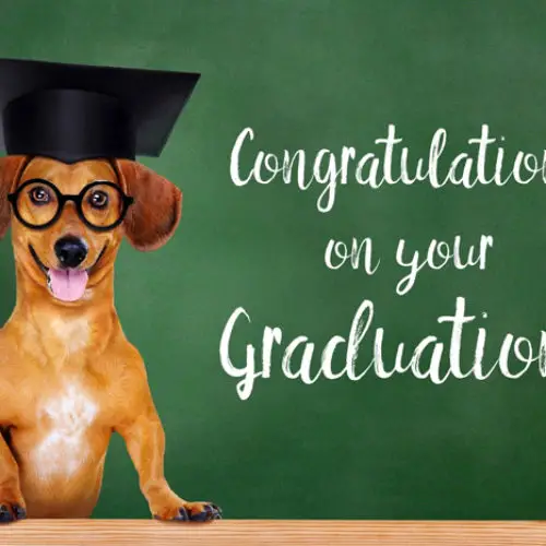 Share Joy with Our Handpicked Graduation Images!