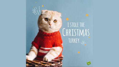 54 Religious Christmas Wishes & Quotes to Experience Grace