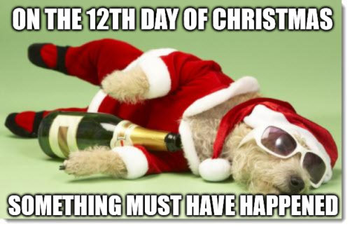 Best 30 Funny Christmas Wishes + Images for a Ho-Ho-Holiday