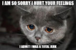 I Am Sorry : 50 Apology Messages and I Am Sorry Memes