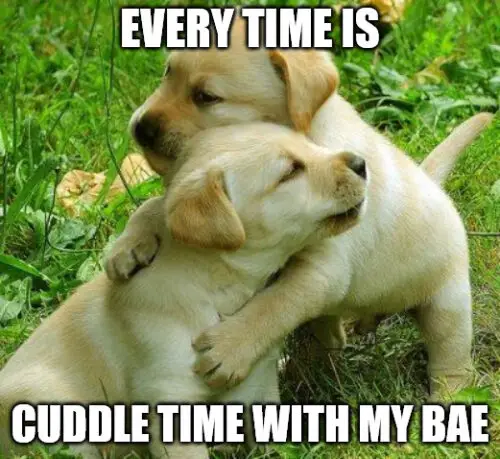 30 Funny Love Memes to Spice Up Your Relationship