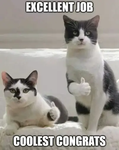Congrats Cat Meme