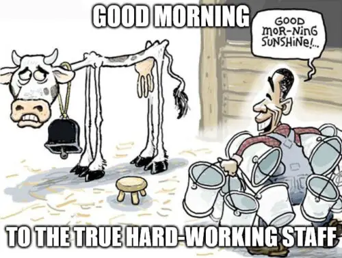 60 Funny Good Morning Memes