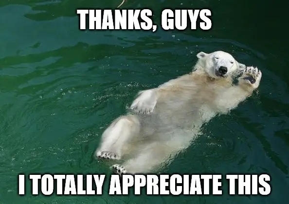 Thank You For Being Awesome Meme Memeshappen - vrogue.co Thank You For Being Awesome Meme Memeshappen - vrogue.co