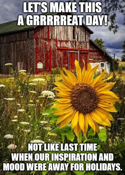 60 Funny Good Morning Memes