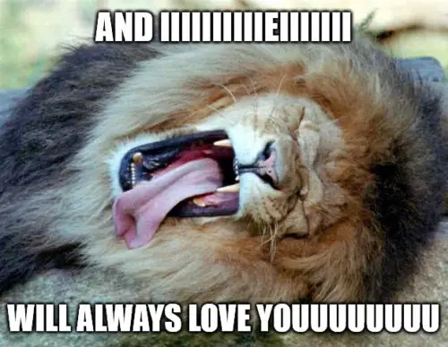 30 Funny Love Memes to Spice Up Your Relationship