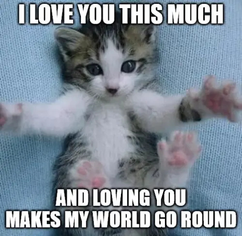 30 Funny Love Memes to Spice Up Your Relationship