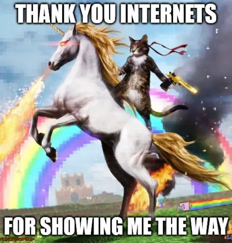 40 Thank You Memes To Share and Show Your Gratitude