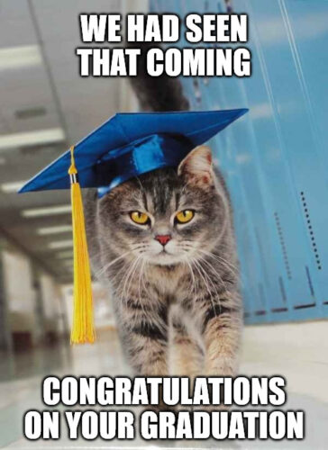 40 Congratulations Memes to Give Them A Thumbs Up