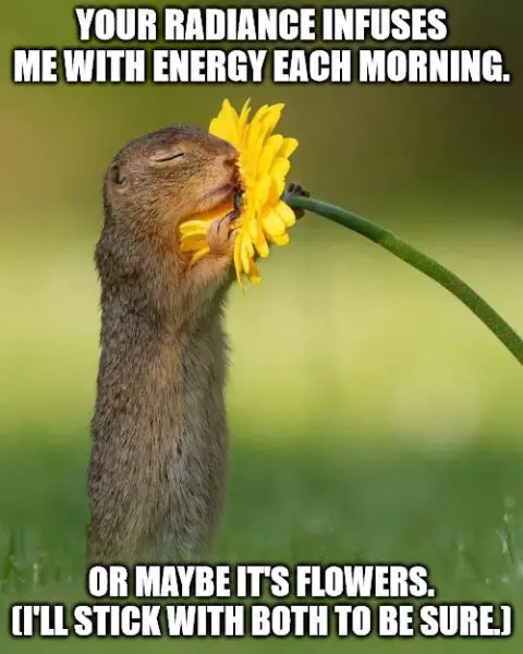 60 Funny Good Morning Memes