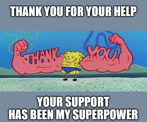40 Thank You Memes To Share and Show Your Gratitude