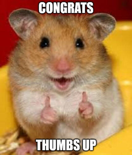 40 Congratulations Memes to Give Them A Thumbs Up